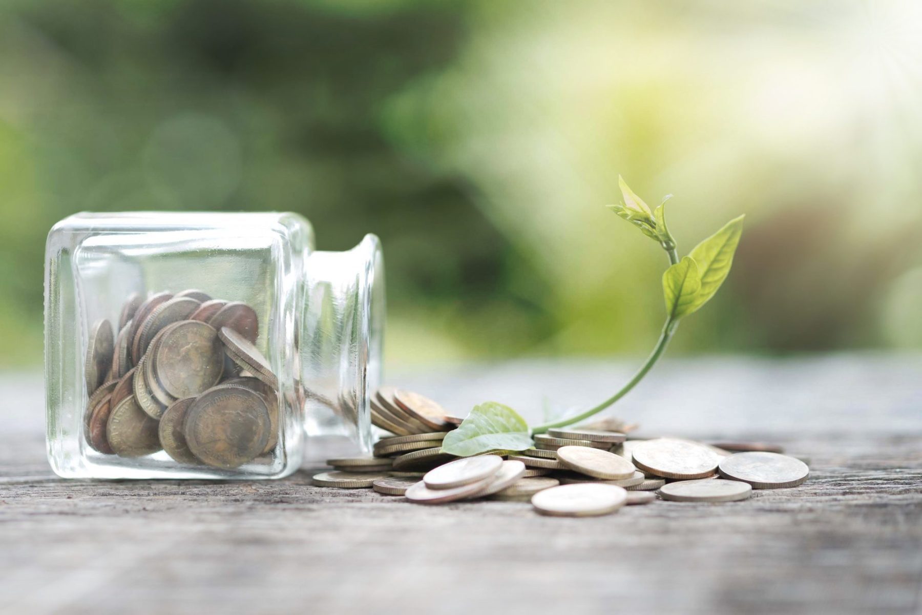 Hammond Fee Based Financial Planner Harvest Wealth Partners Fee Hammond Fee Based Financial Planner Harvest Wealth Partners Fee